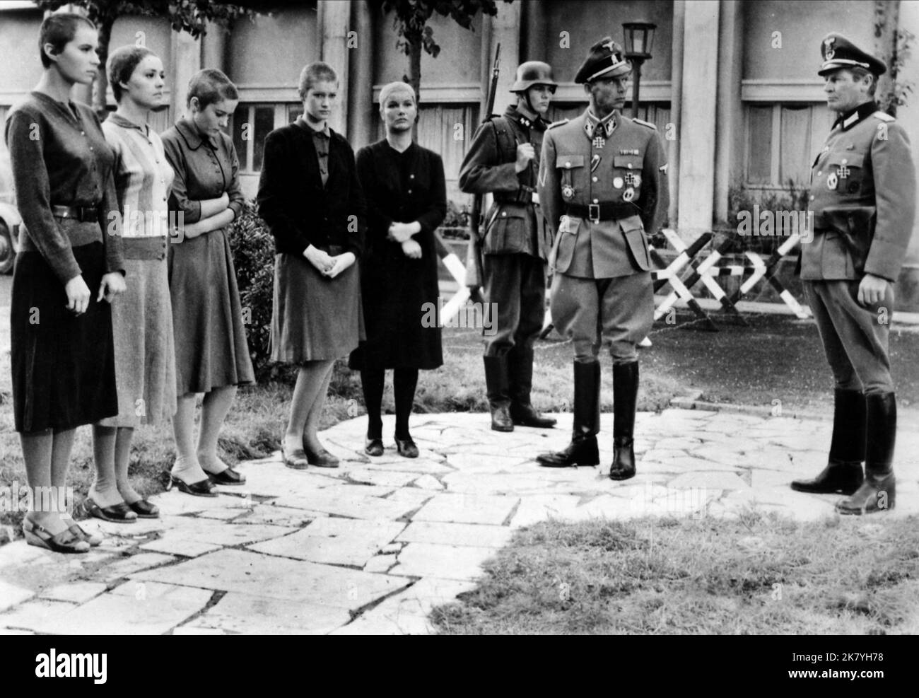 Daniza hi-res stock photography and images - Alamy