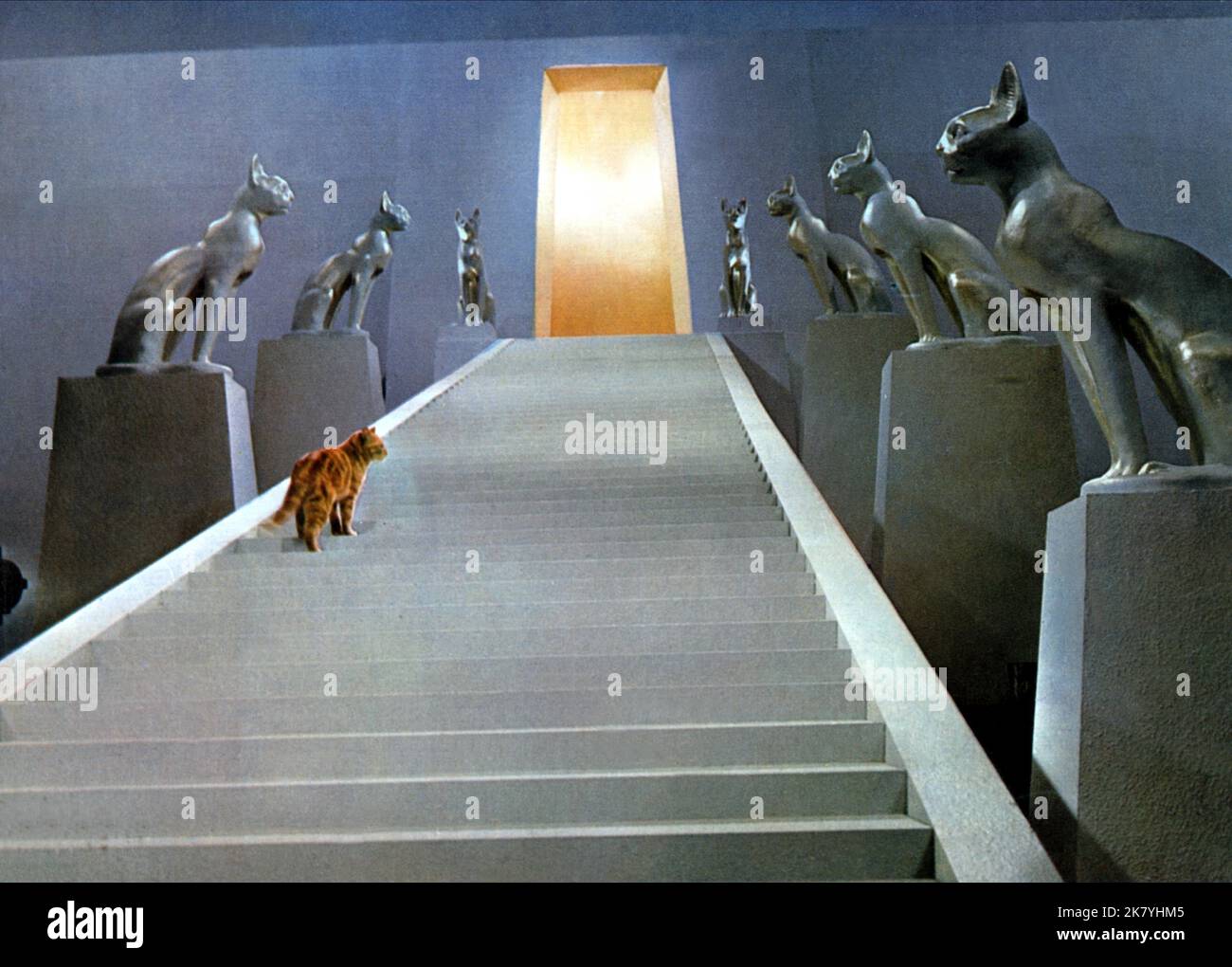 Thomasina Film The Three Lives Of Thomasina (1964) Director: Robert ...