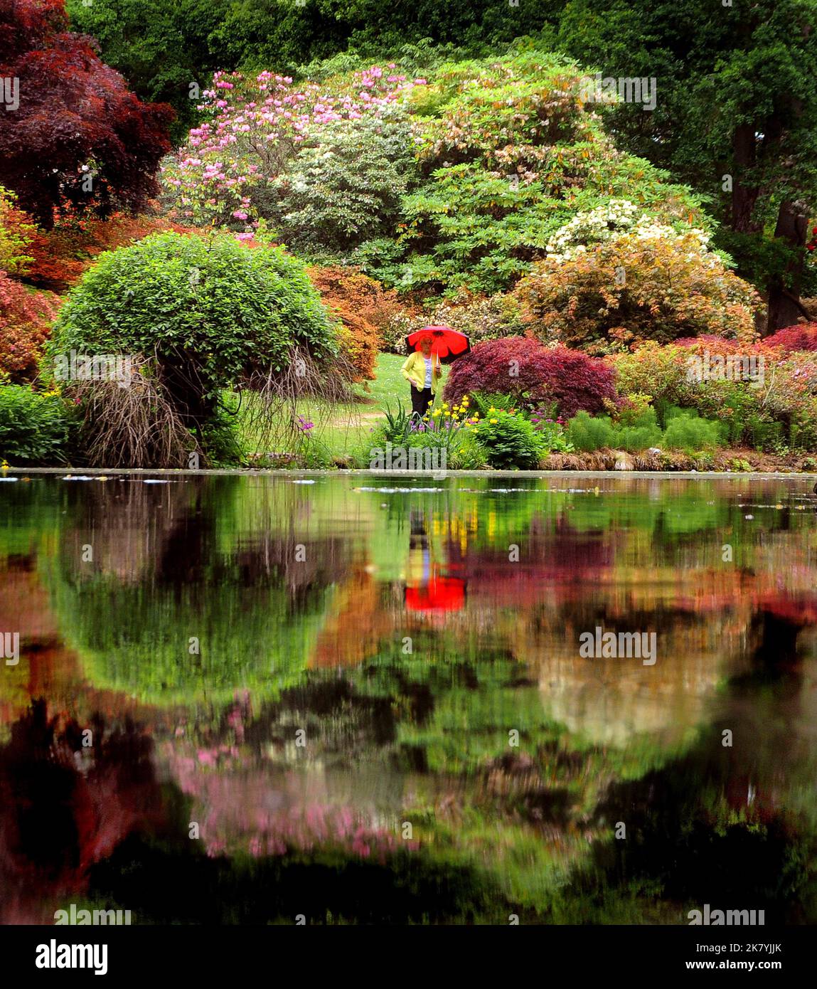 A lone visitor braves the drizzle to visit Exbury Gardens in the New ...