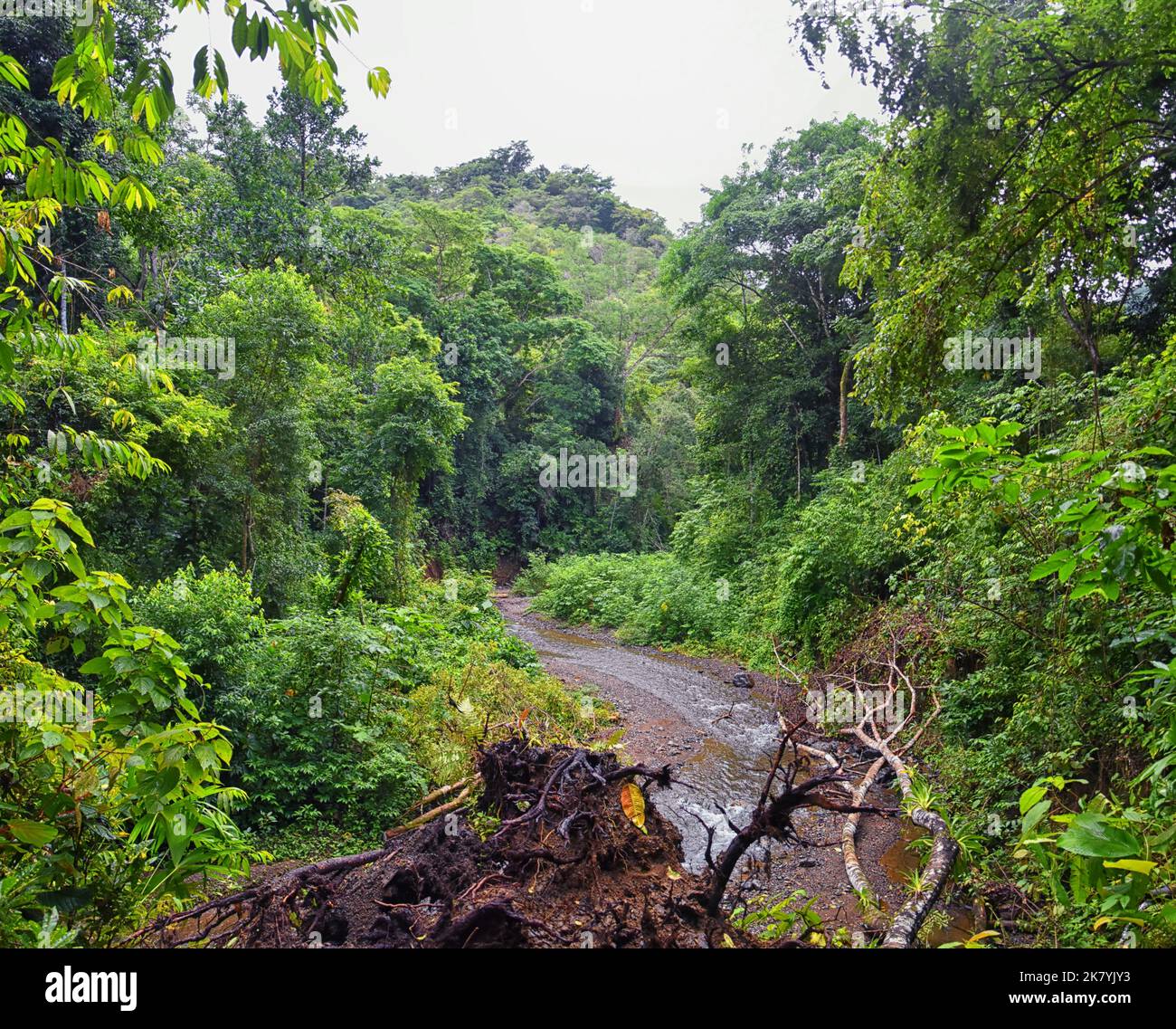 Waterfall Jaco Costa Rica, Trail views, Catarastas Valle Encantado ...