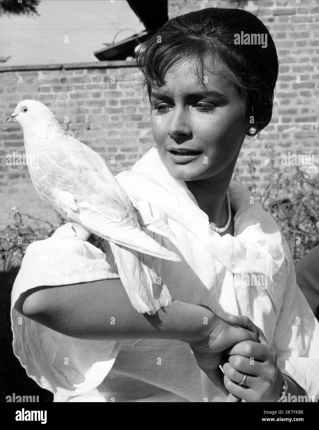 Valerie Gearon Film Nine Hours To Rama (USA/UK 1963) Characters: Rani ...