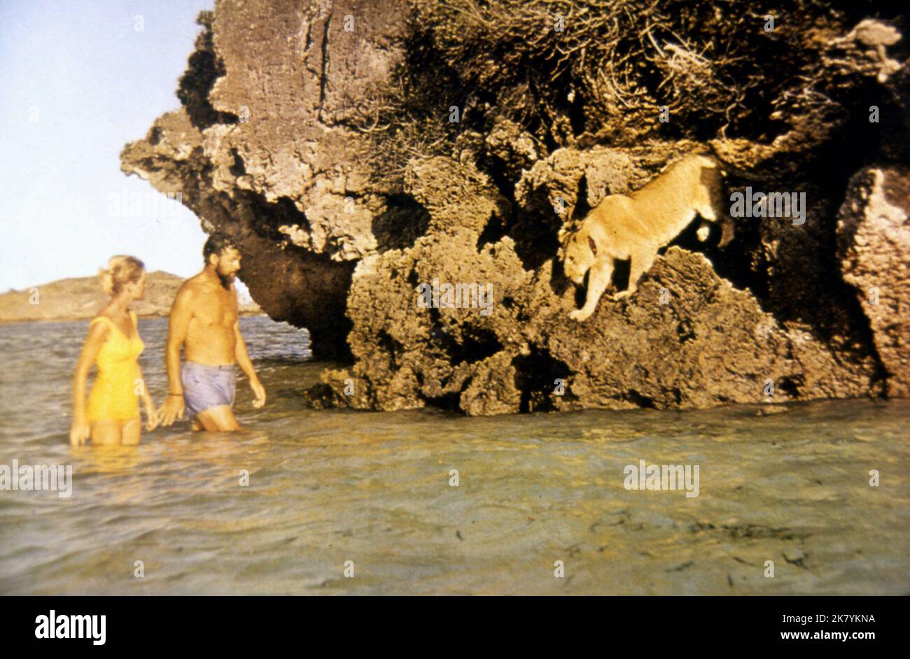 Virginia Mckenna, Bill Travers & Elsa Film Born Free (USA/UK 1966 ...