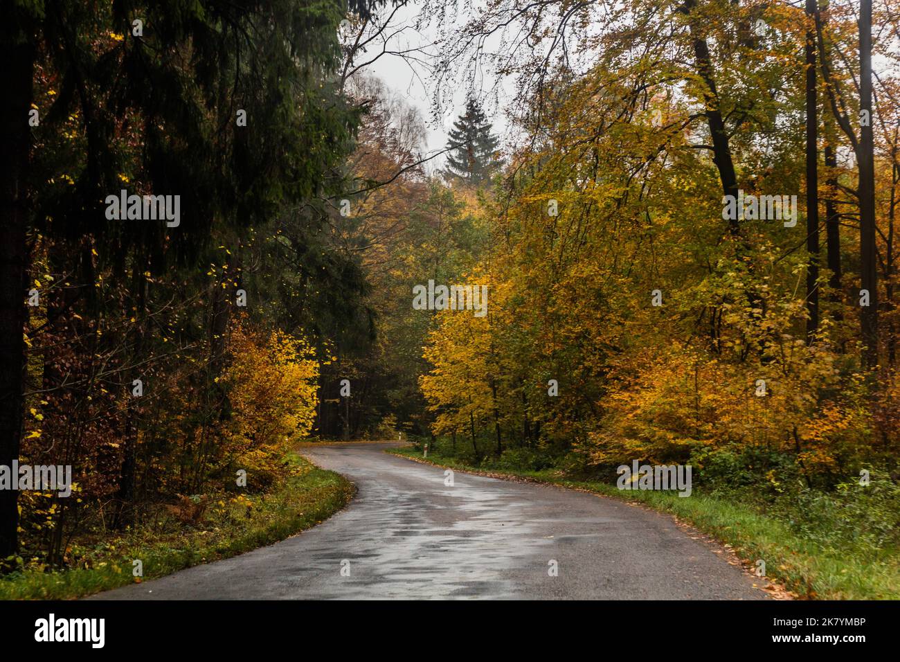 Autumn view of a road in the Czech Republic Stock Photo - Alamy