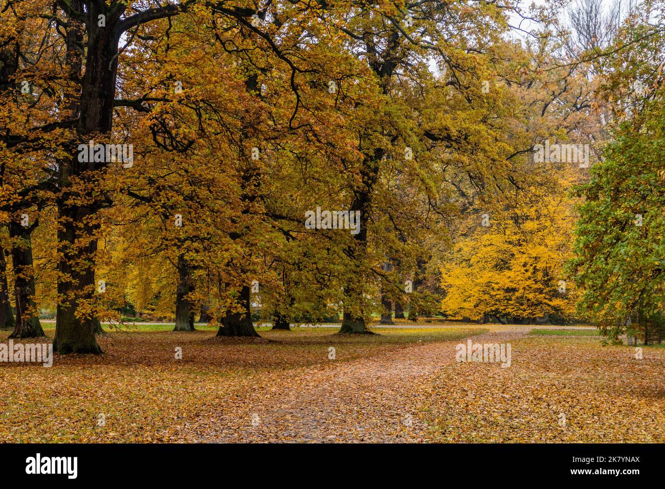 Autumn view of the palace garden in Zamberk, Czech Republic Stock Photo ...