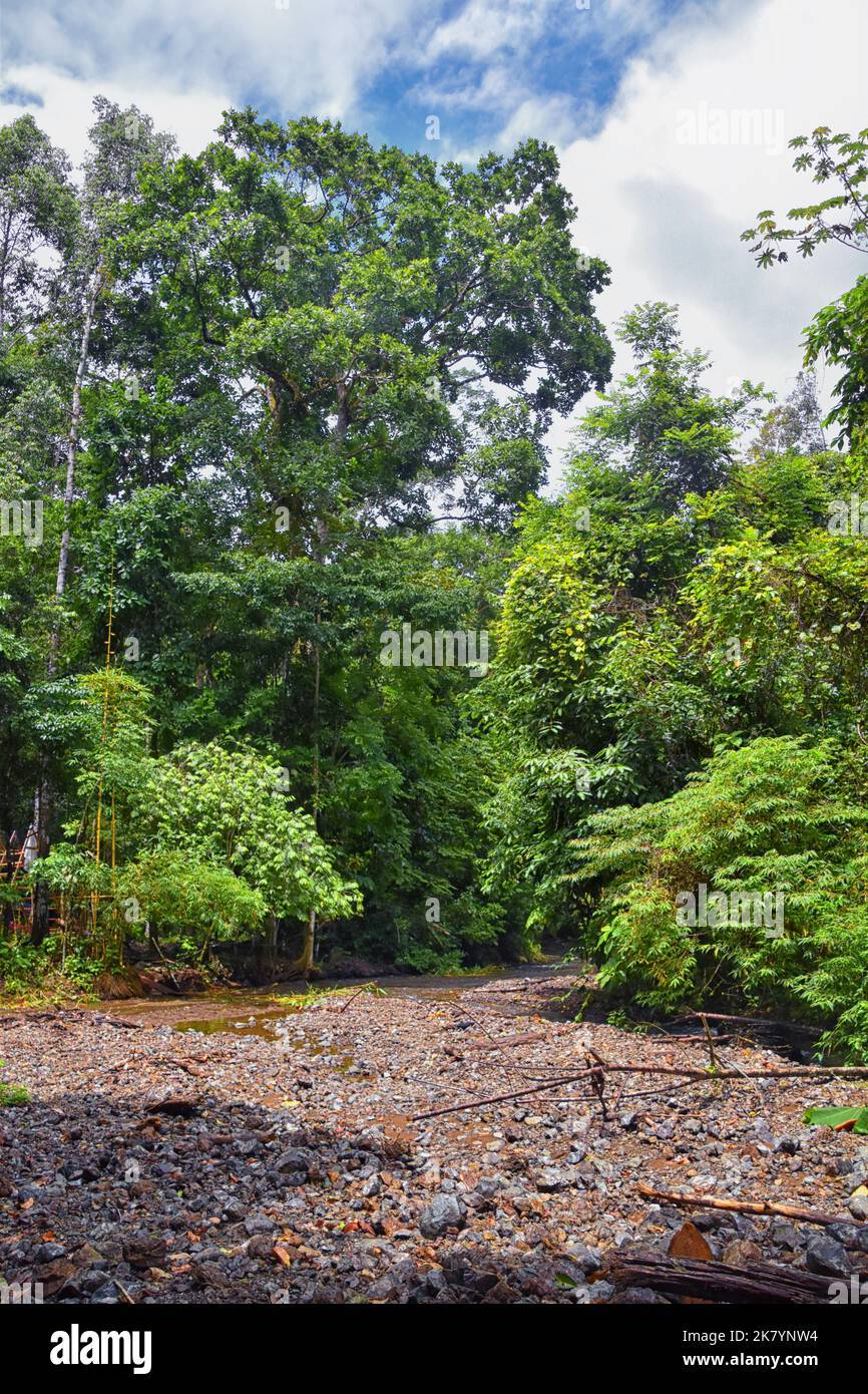 Waterfall Jaco Costa Rica, Trail views, Catarastas Valle Encantado ...