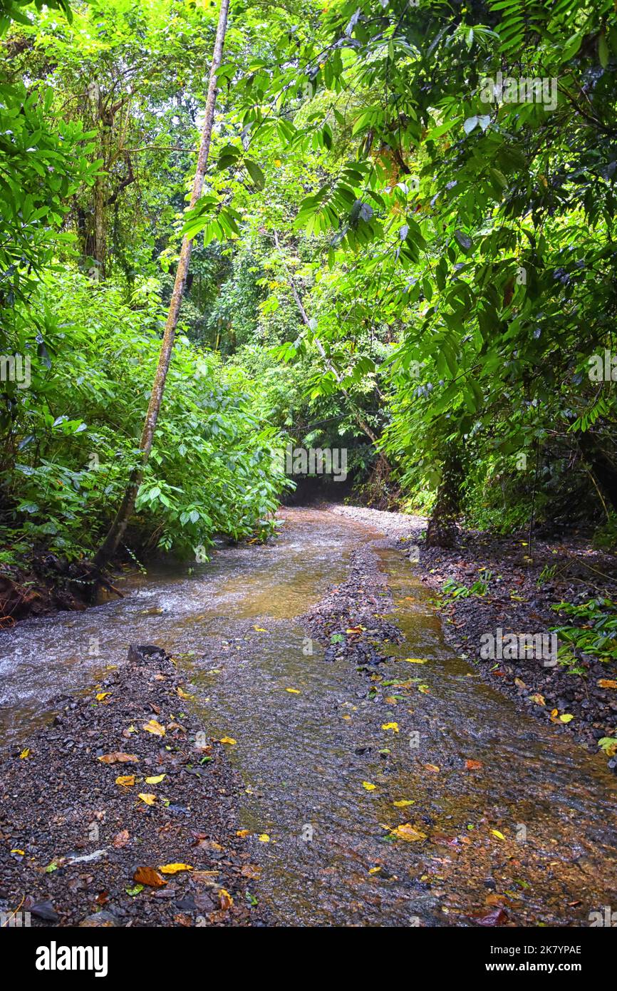 Waterfall Jaco Costa Rica, Trail views, Catarastas Valle Encantado ...