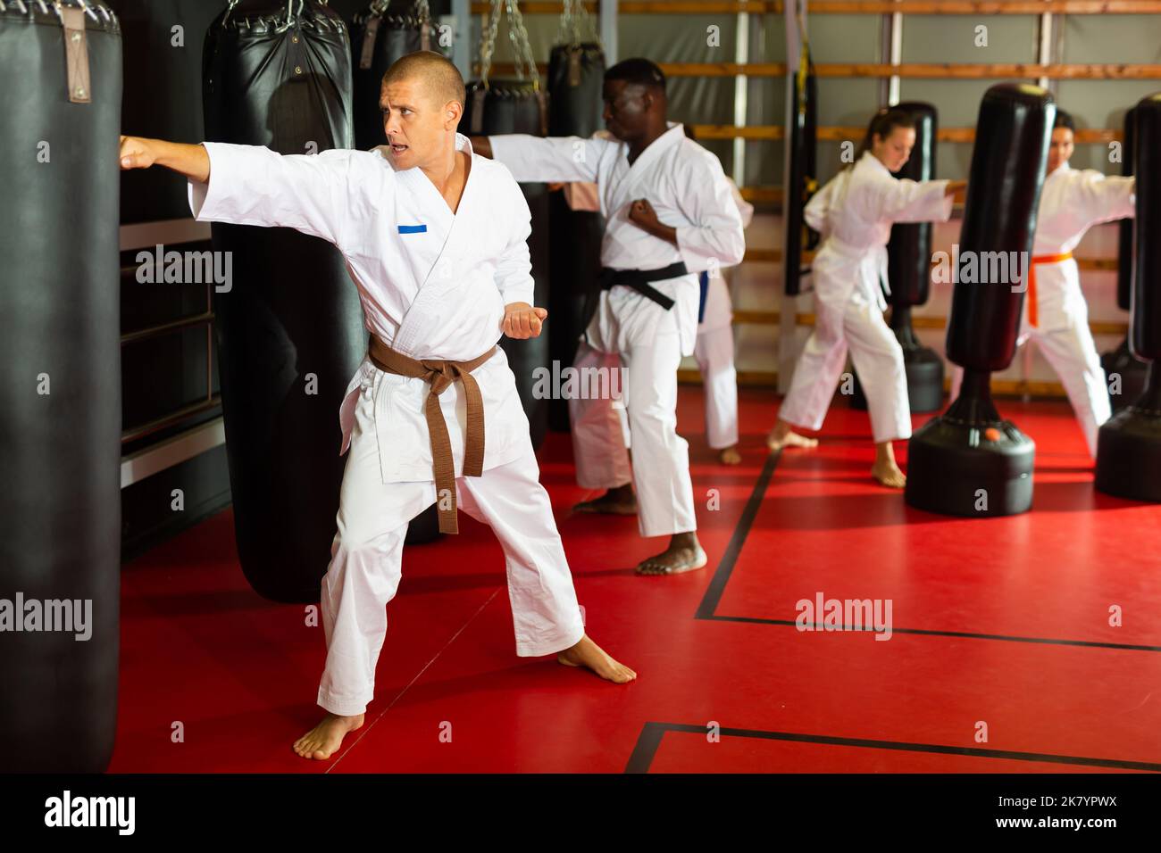 Portrait of concentrated man in kimono practicing powerful body punches ...