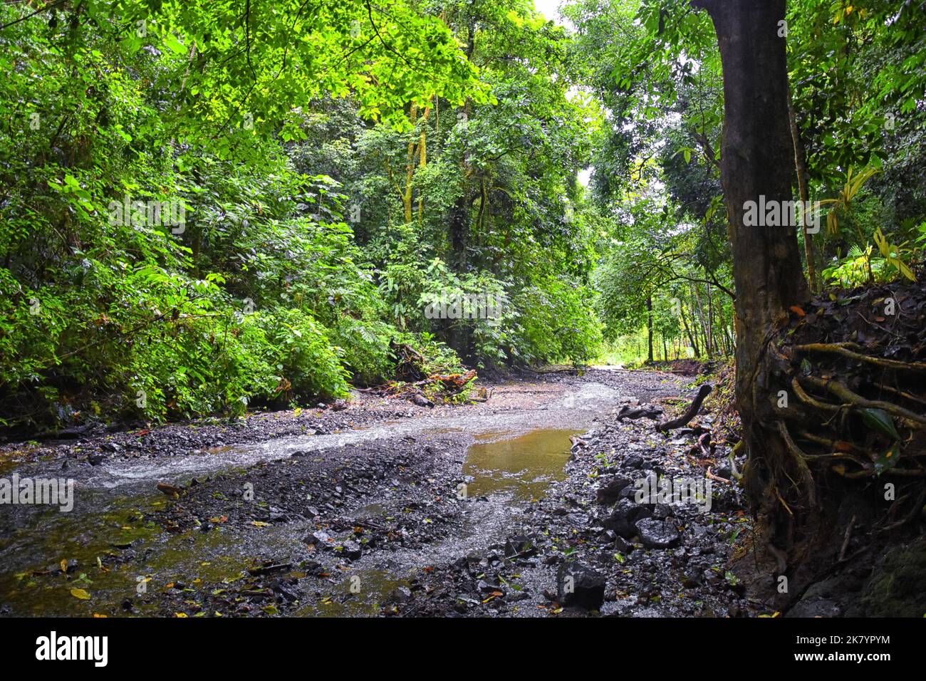 Waterfall Jaco Costa Rica, Trail views, Catarastas Valle Encantado ...