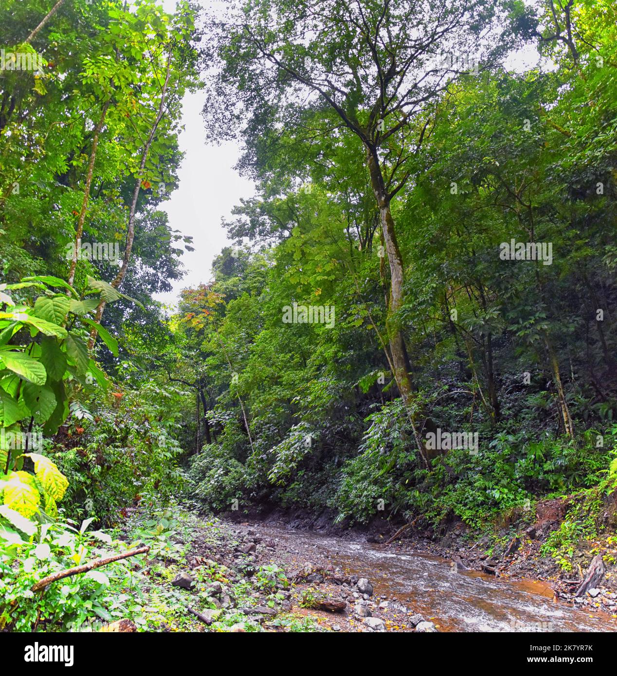 Waterfall Jaco Costa Rica, Trail views, Catarastas Valle Encantado ...