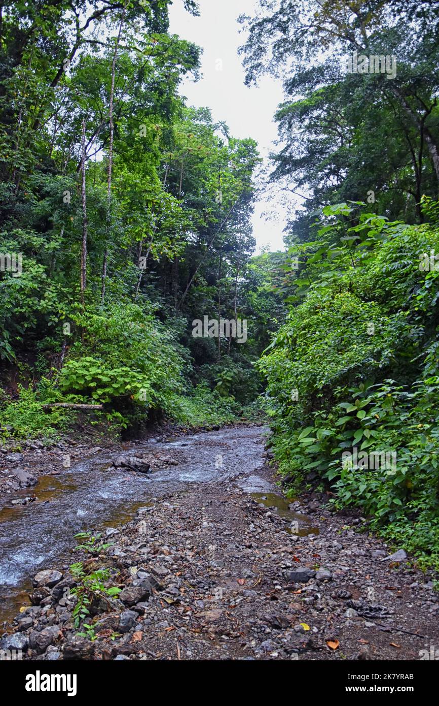 Waterfall Jaco Costa Rica, Trail views, Catarastas Valle Encantado ...