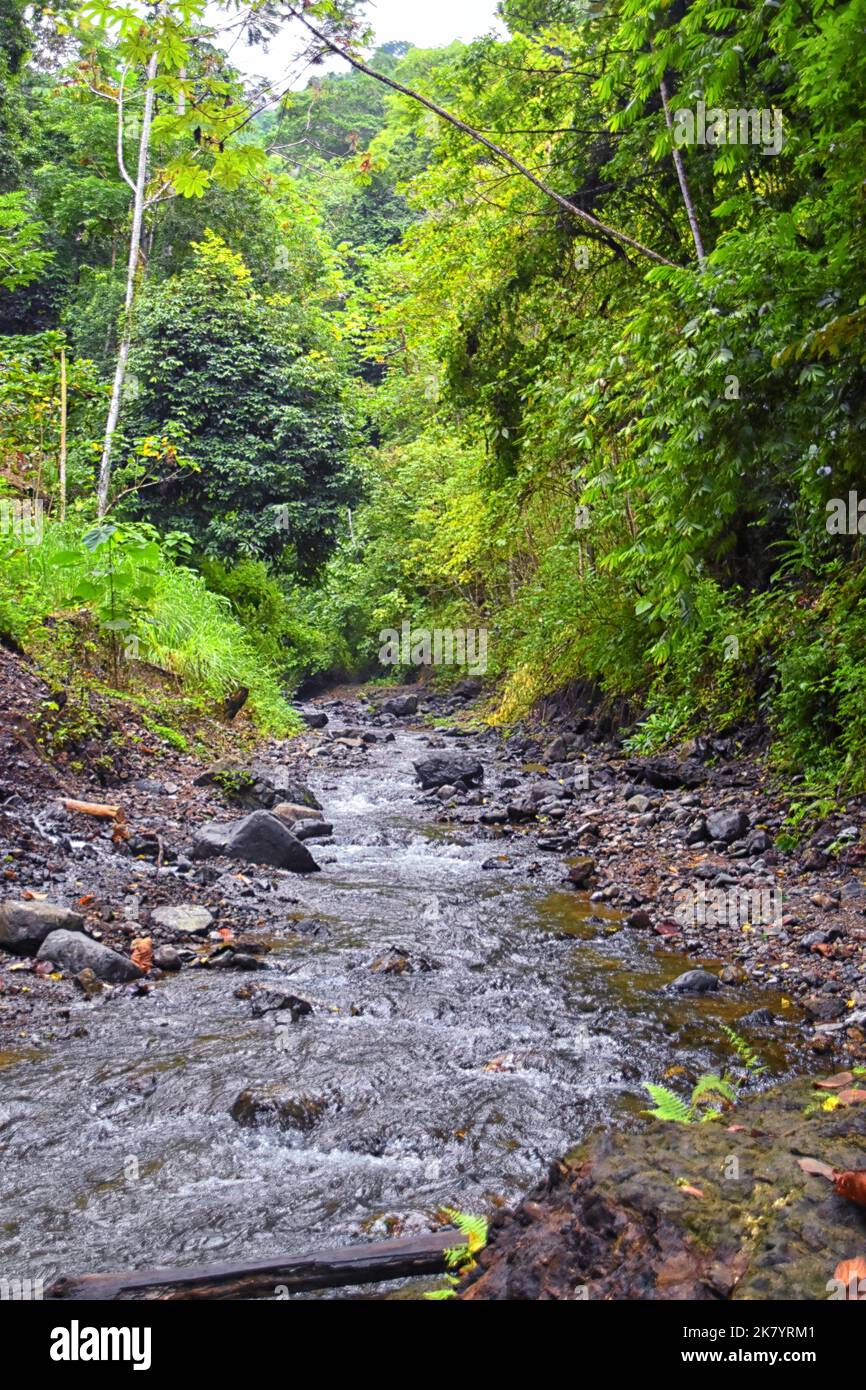 Waterfall Jaco Costa Rica, Trail views, Catarastas Valle Encantado ...