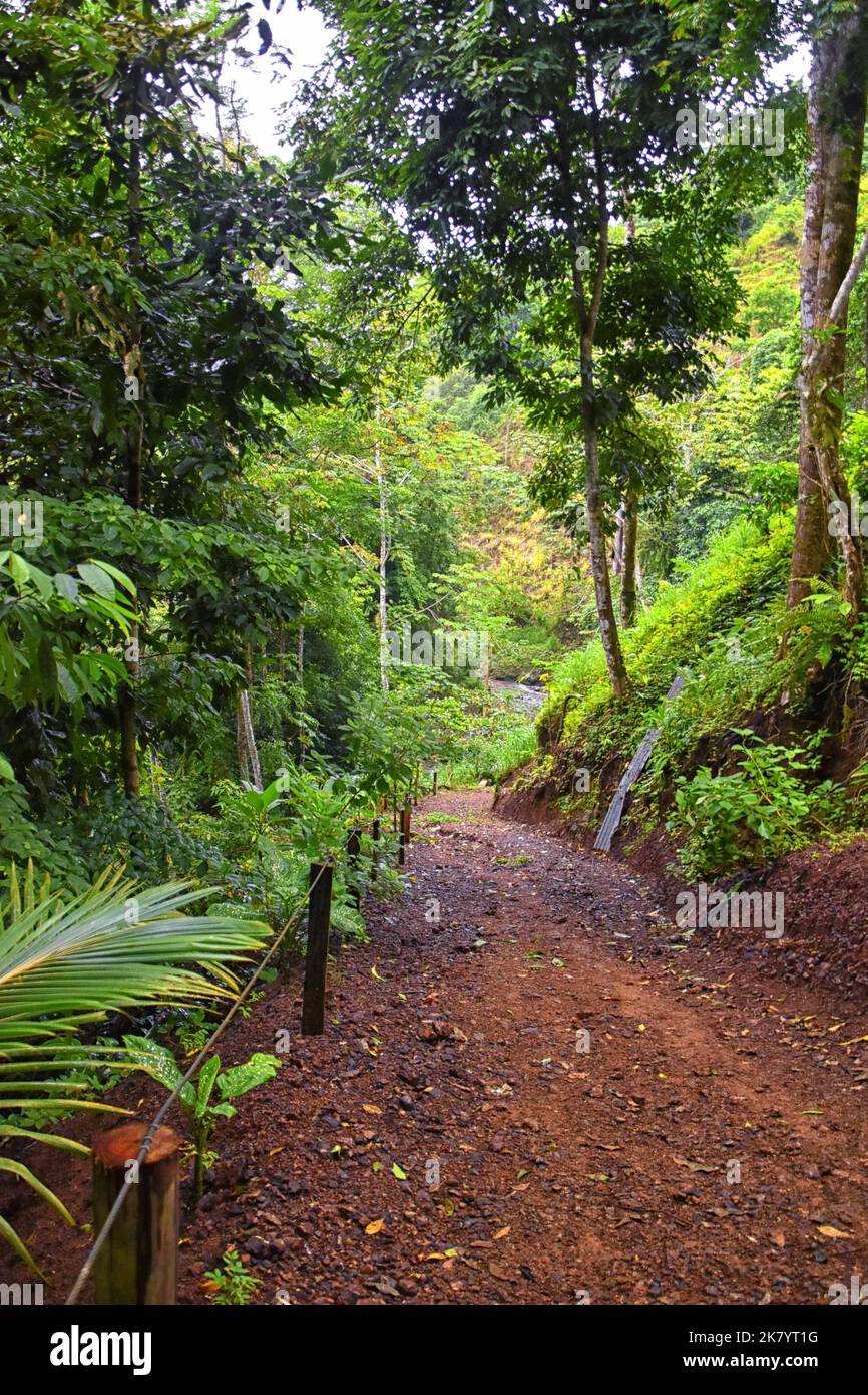 Waterfall Jaco Costa Rica, Trail views, Catarastas Valle Encantado ...