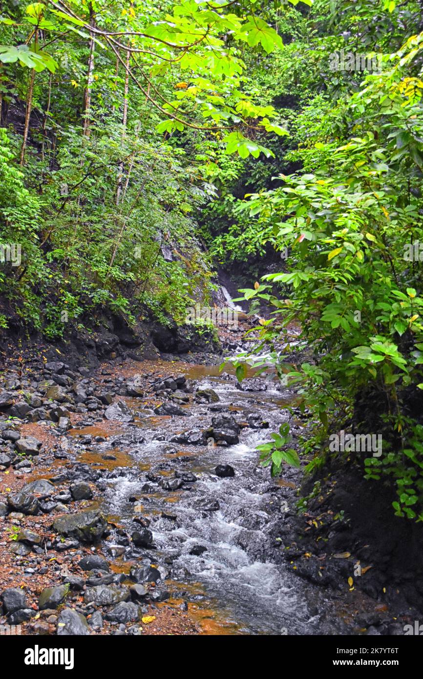 Waterfall Jaco Costa Rica, Trail views, Catarastas Valle Encantado ...