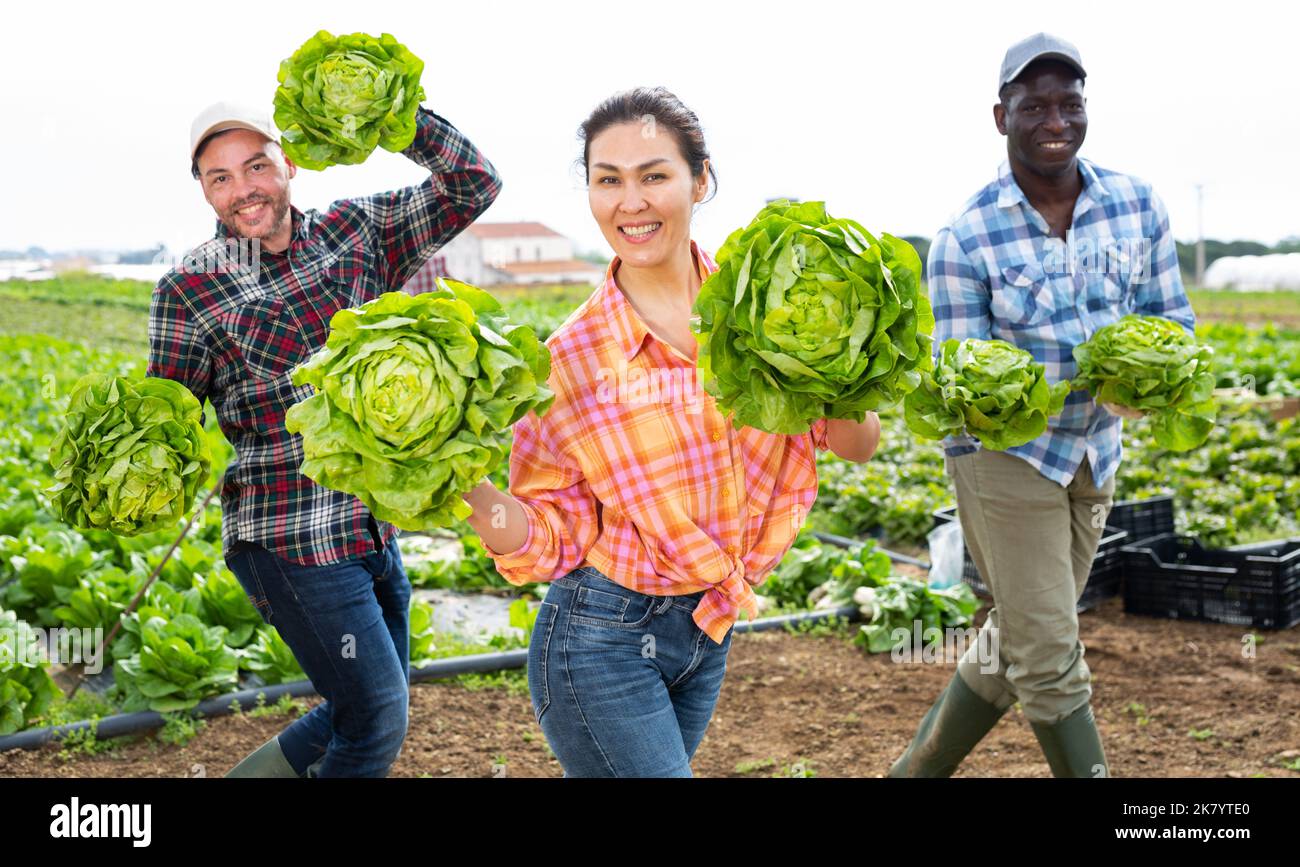 Portrait three positive farmers hi-res stock photography and images - Alamy