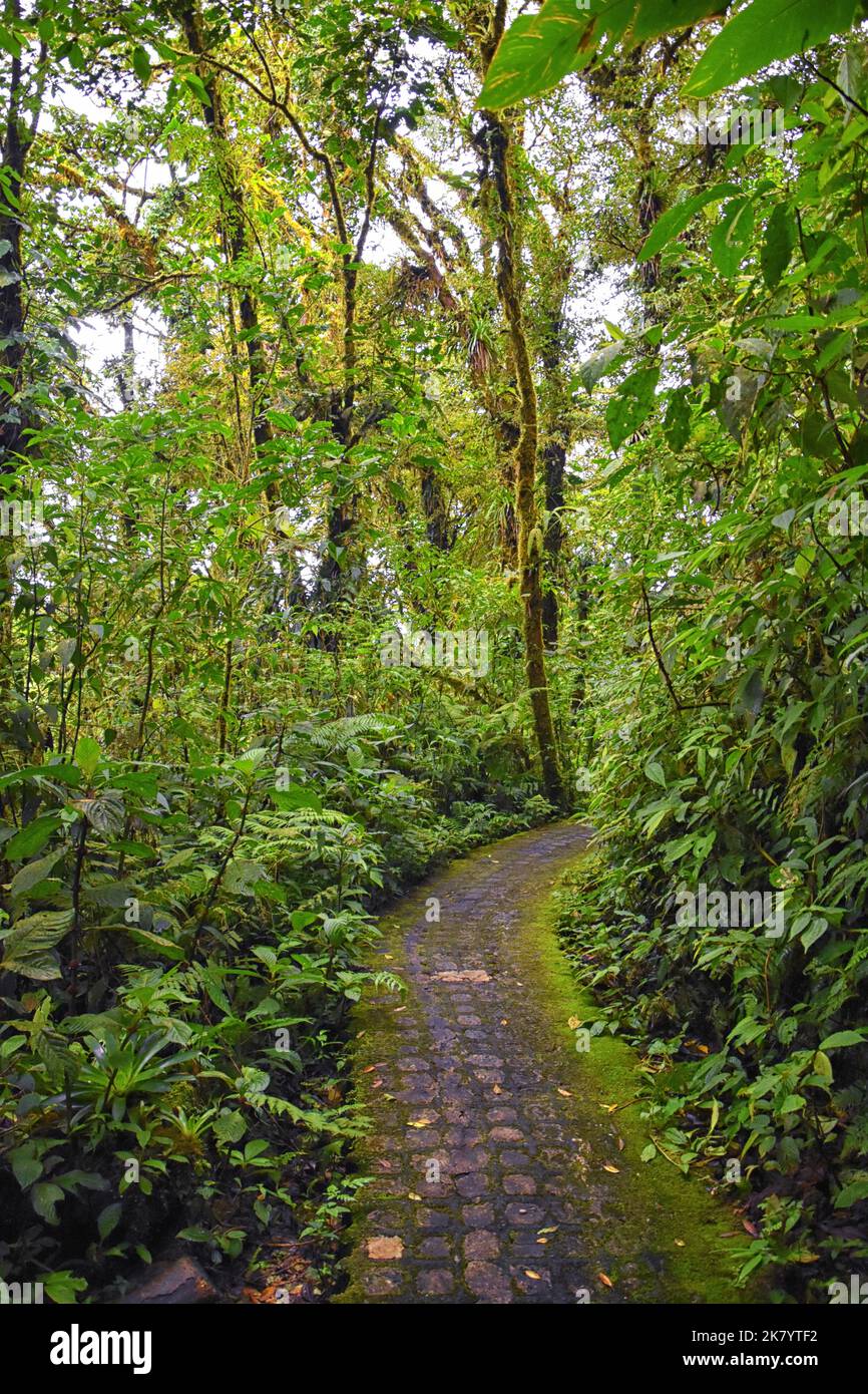 Waterfall Jaco Costa Rica, Trail views, Catarastas Valle Encantado ...