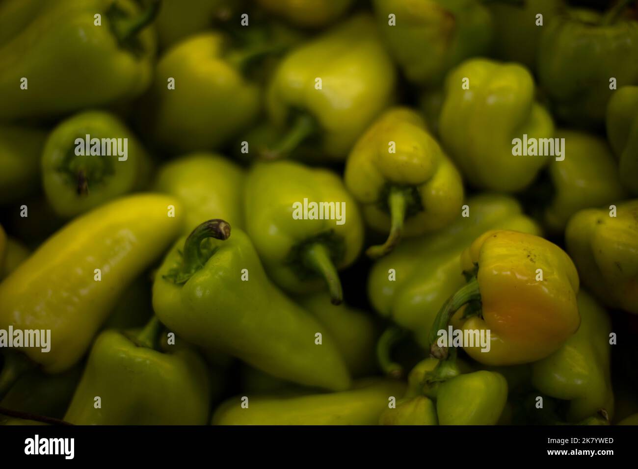 Green pepper. Vegetables on market. Pepper texture. Healthy food. Green ...