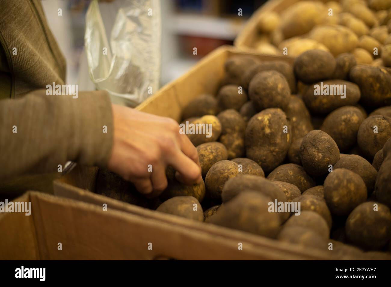 Grocery buys hi-res stock photography and images - Alamy