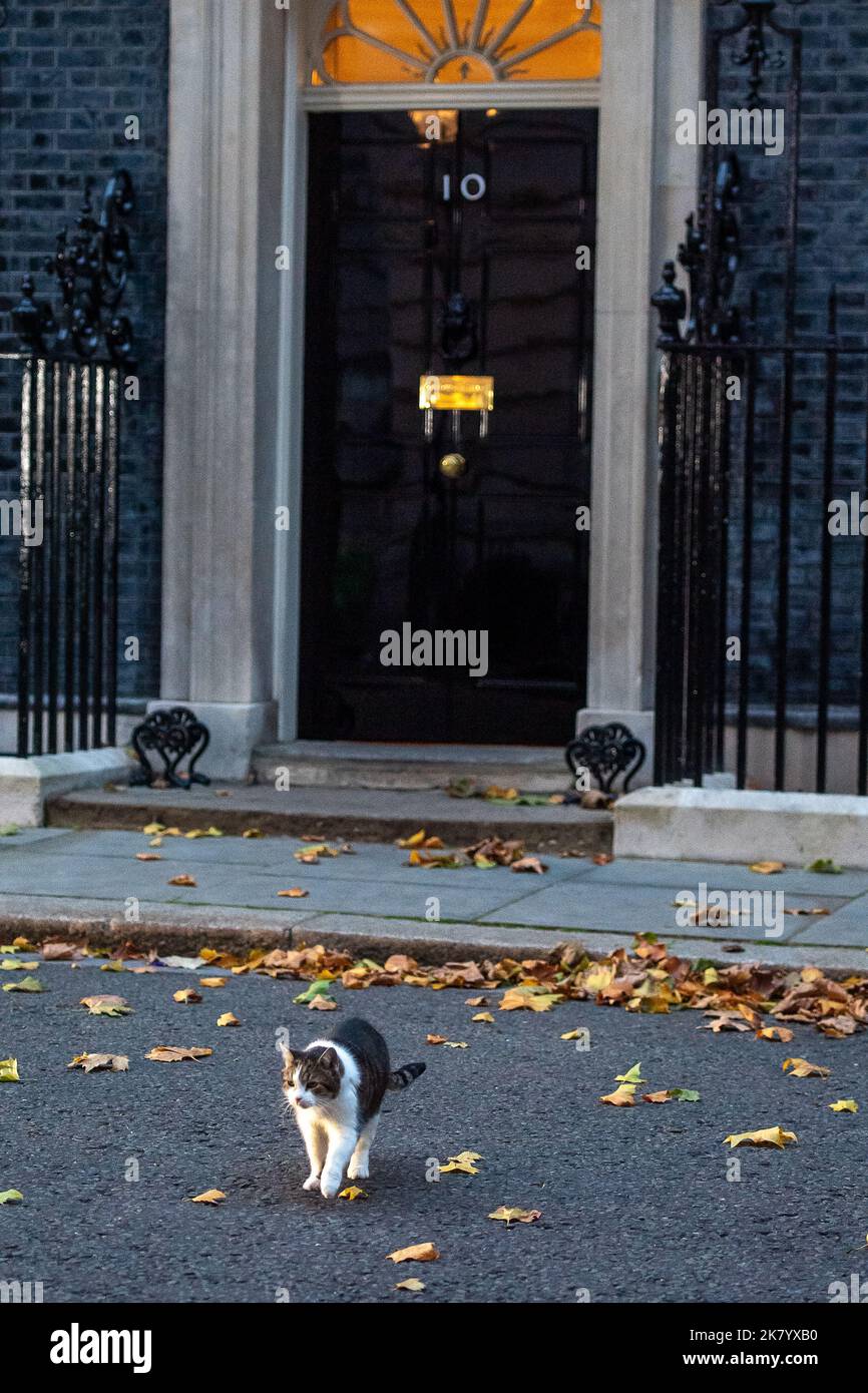 The number 10 cat hi-res stock photography and images - Alamy