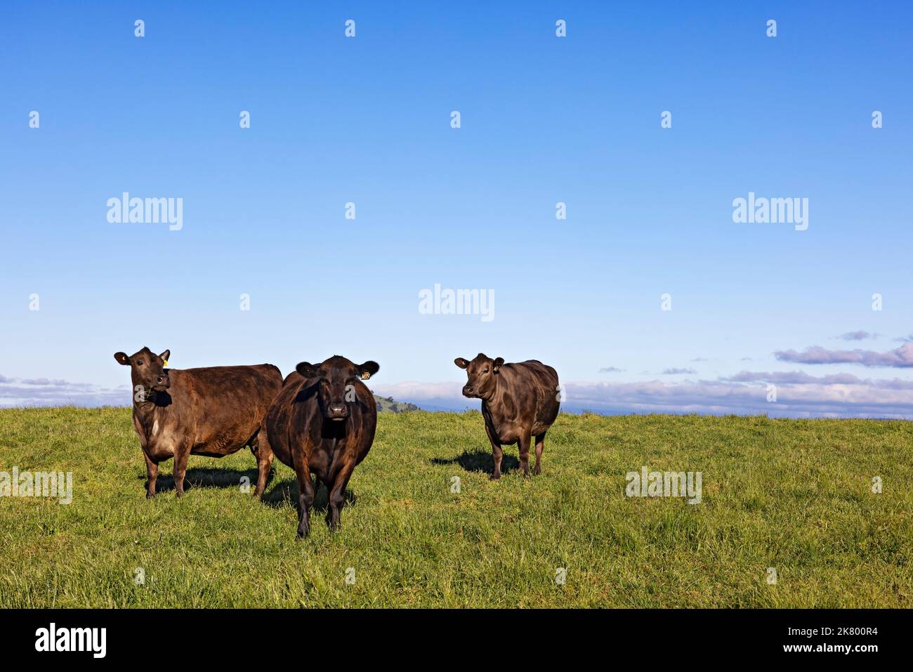 Learmonth australia hi-res stock photography and images - Alamy