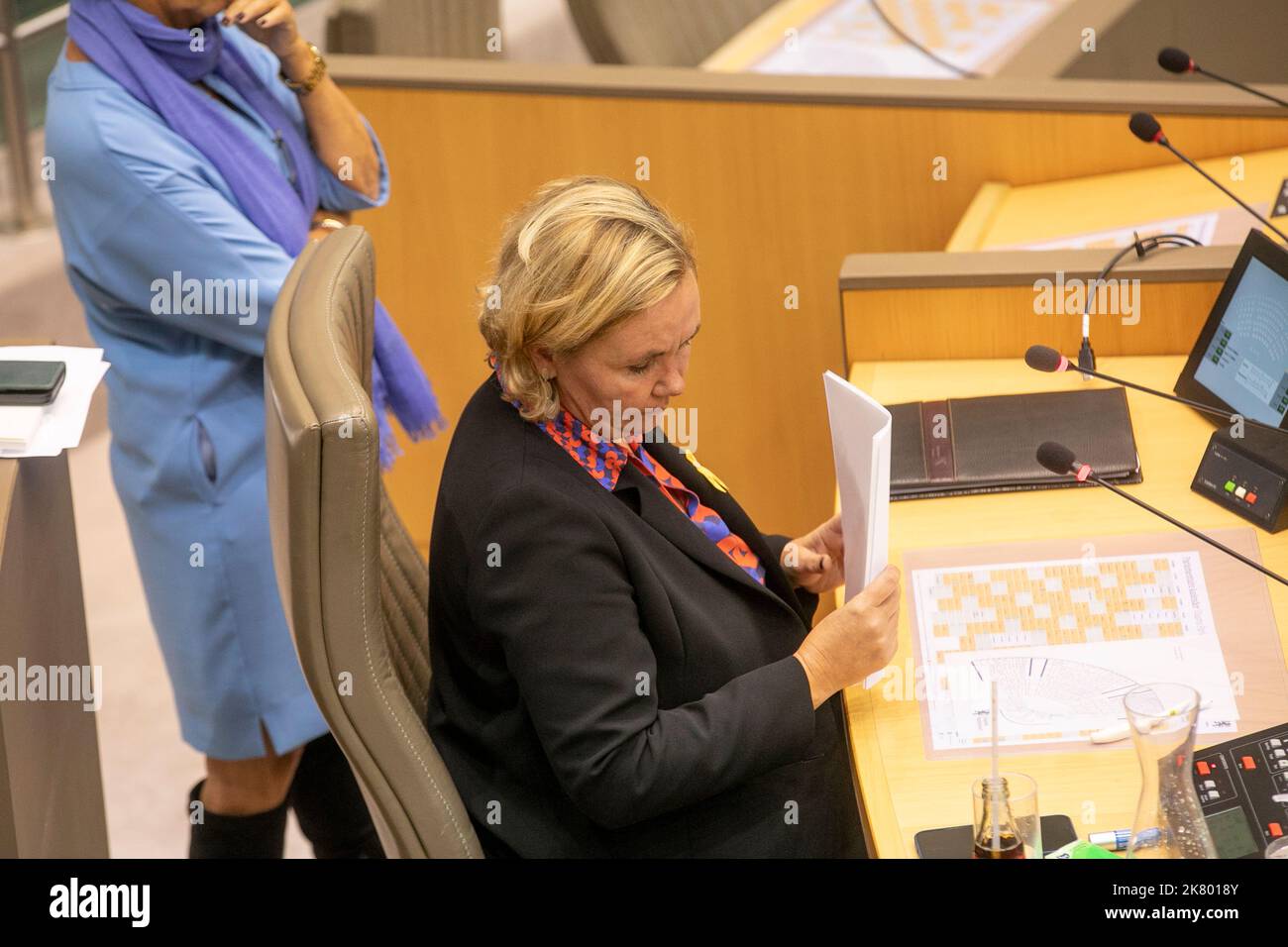 Flemish parliament chairwoman Liesbeth Homans pictured during a plenary ...