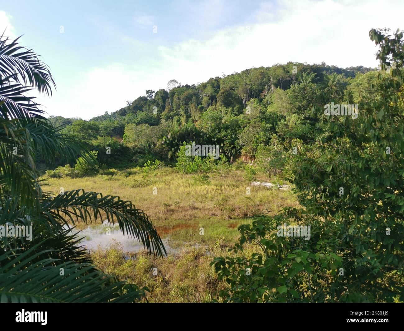 Uncultivated land hi-res stock photography and images - Alamy