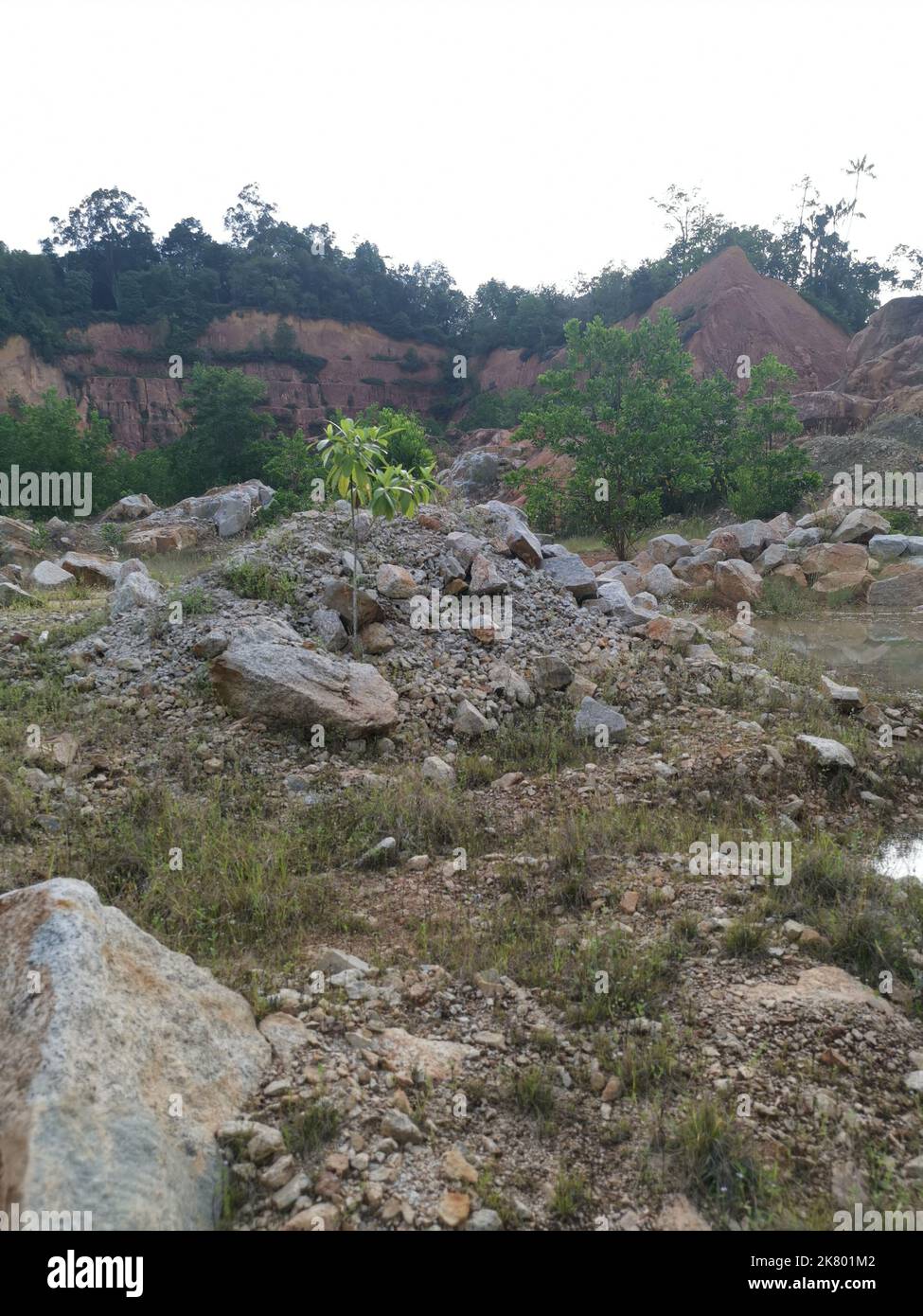 environment scene around the quarry area Stock Photo - Alamy