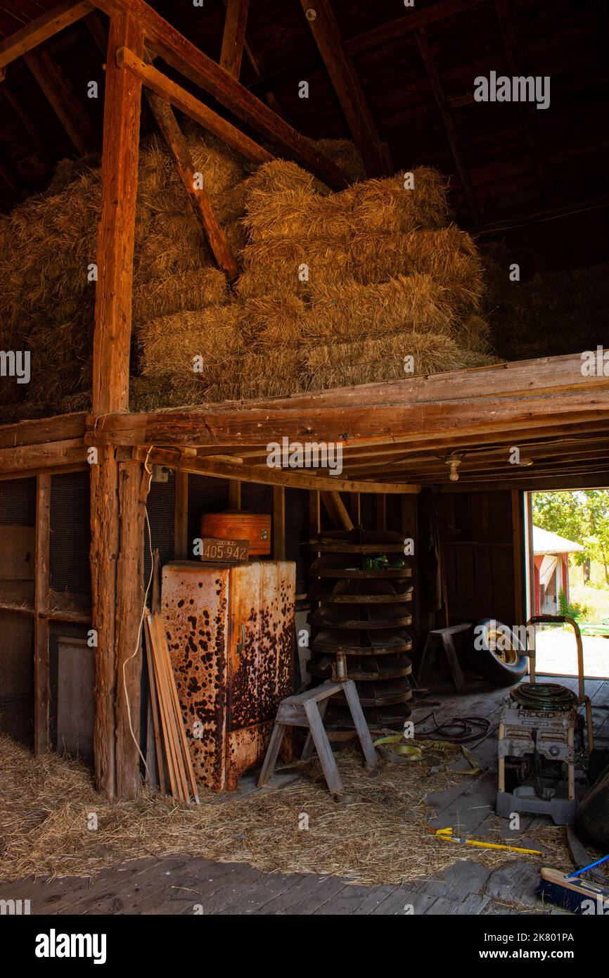 This interior of an old barn with hay in the rafters and an old icebox ...
