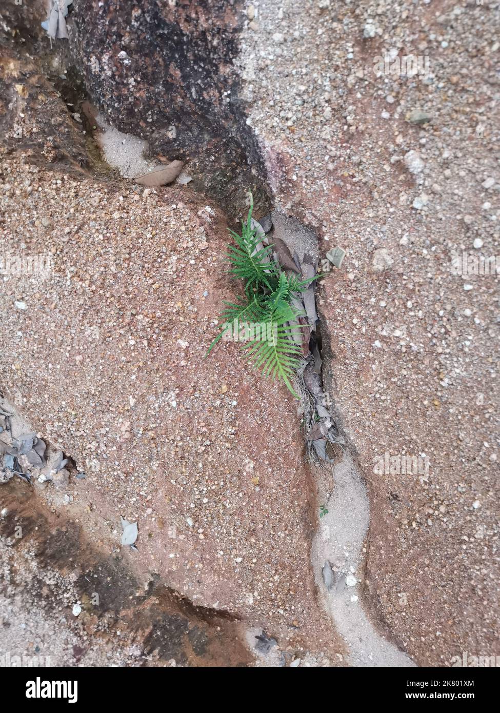 environment scene around the quarry area Stock Photo - Alamy