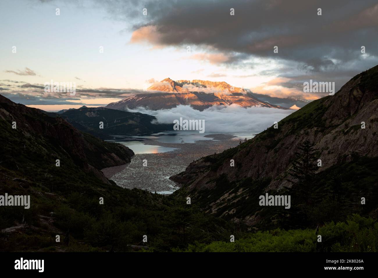 WA22422-00...WASHINGTON - Sunrise on Mount St. Helens and Spirit Lake ...