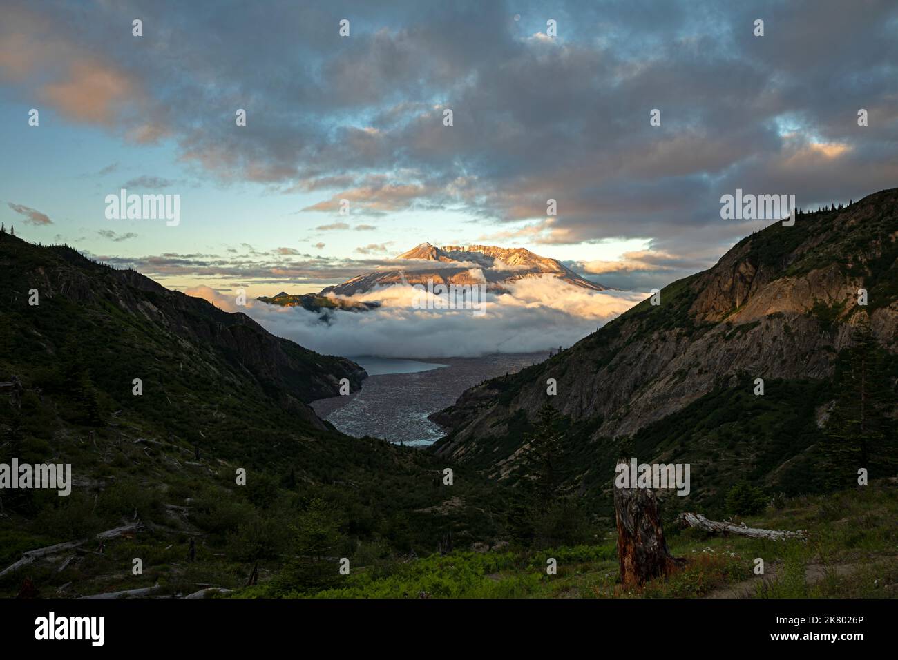 WA22423-00...WASHINGTON - Sunrise on Mount St. Helens and Spirit Lake ...