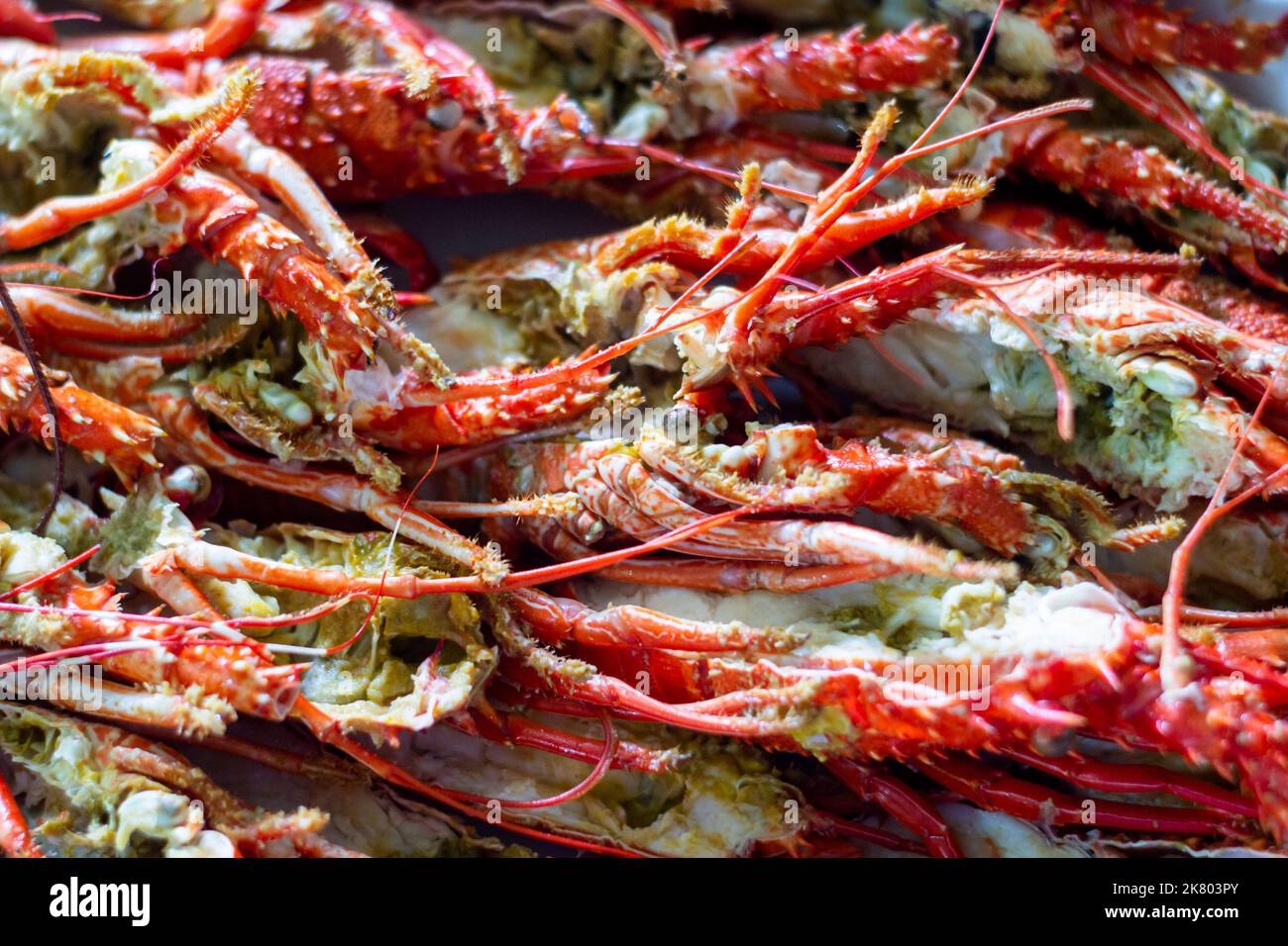 Cagayan valley hi-res stock photography and images - Alamy