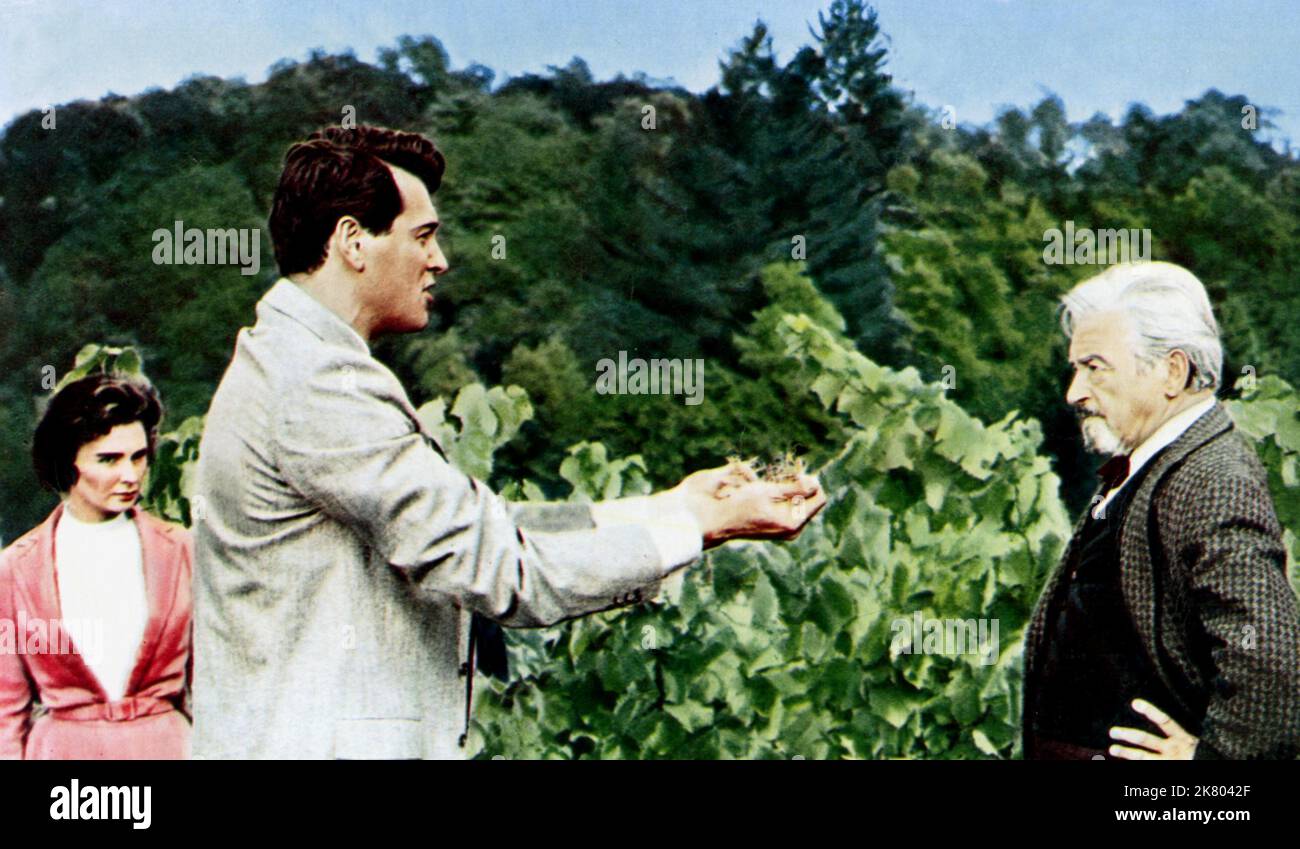 Jean Simmons, Rock Hudson & Claude Rains Film: This Earth Is Mine (1959 ...