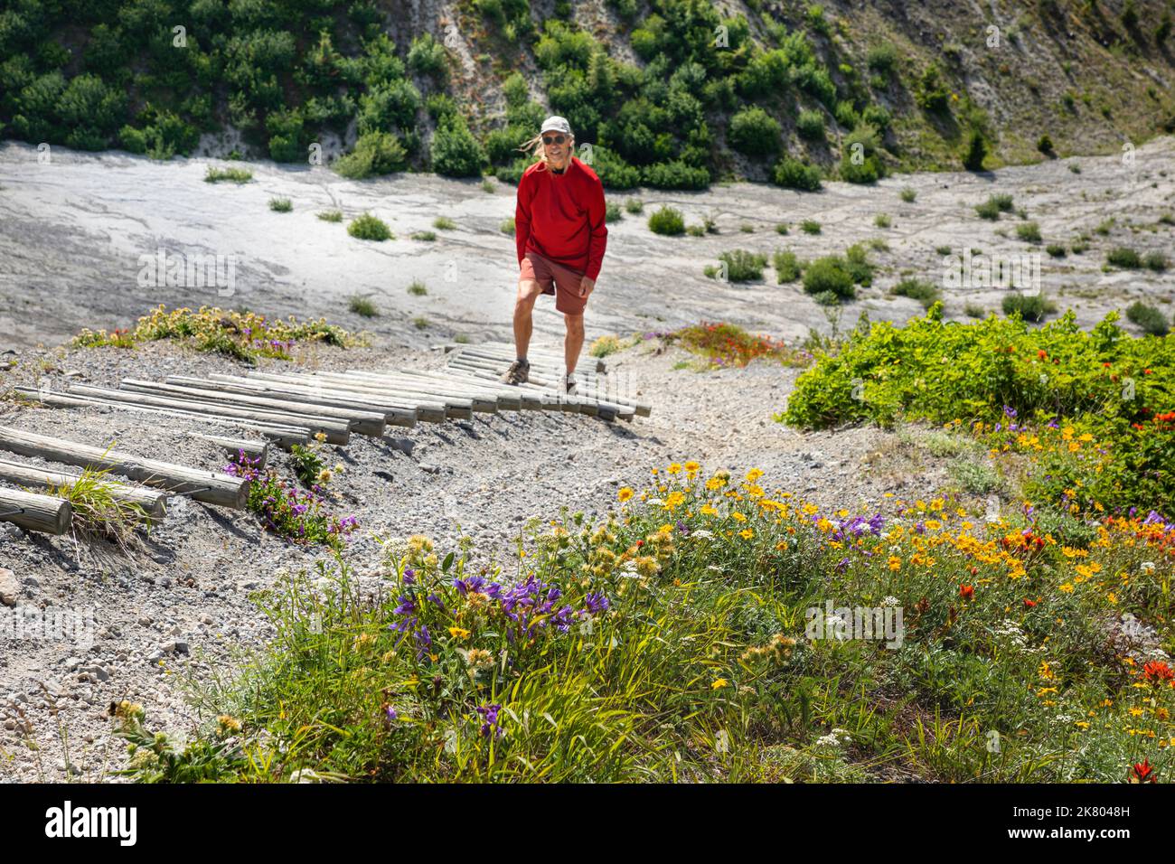 WA22446-00...WASHINGTON - Hiker on ladder/steps on a steep hill with ...
