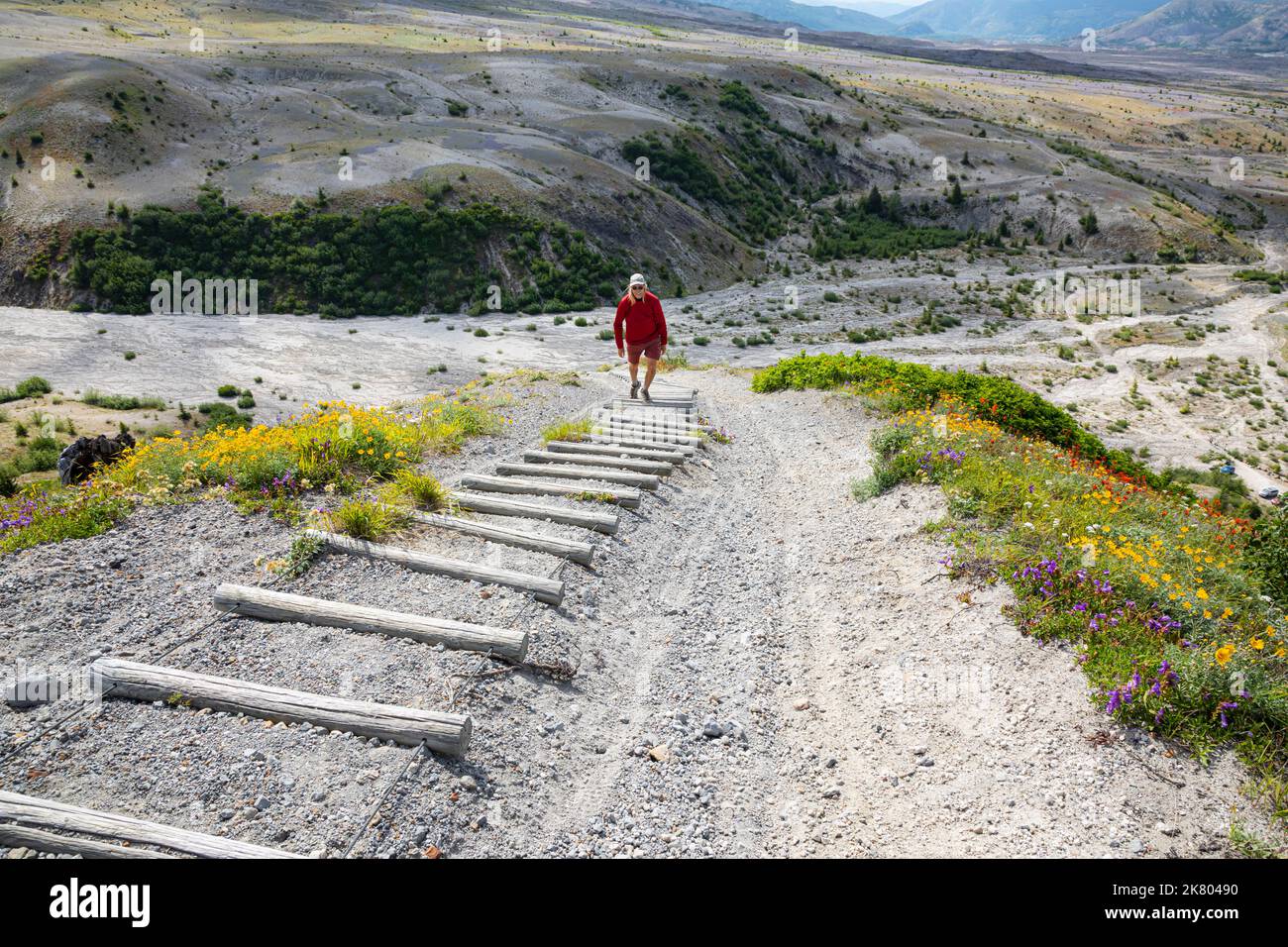 WA22447-00...WASHINGTON - Hiker on ladder/steps on a steep hill with ...