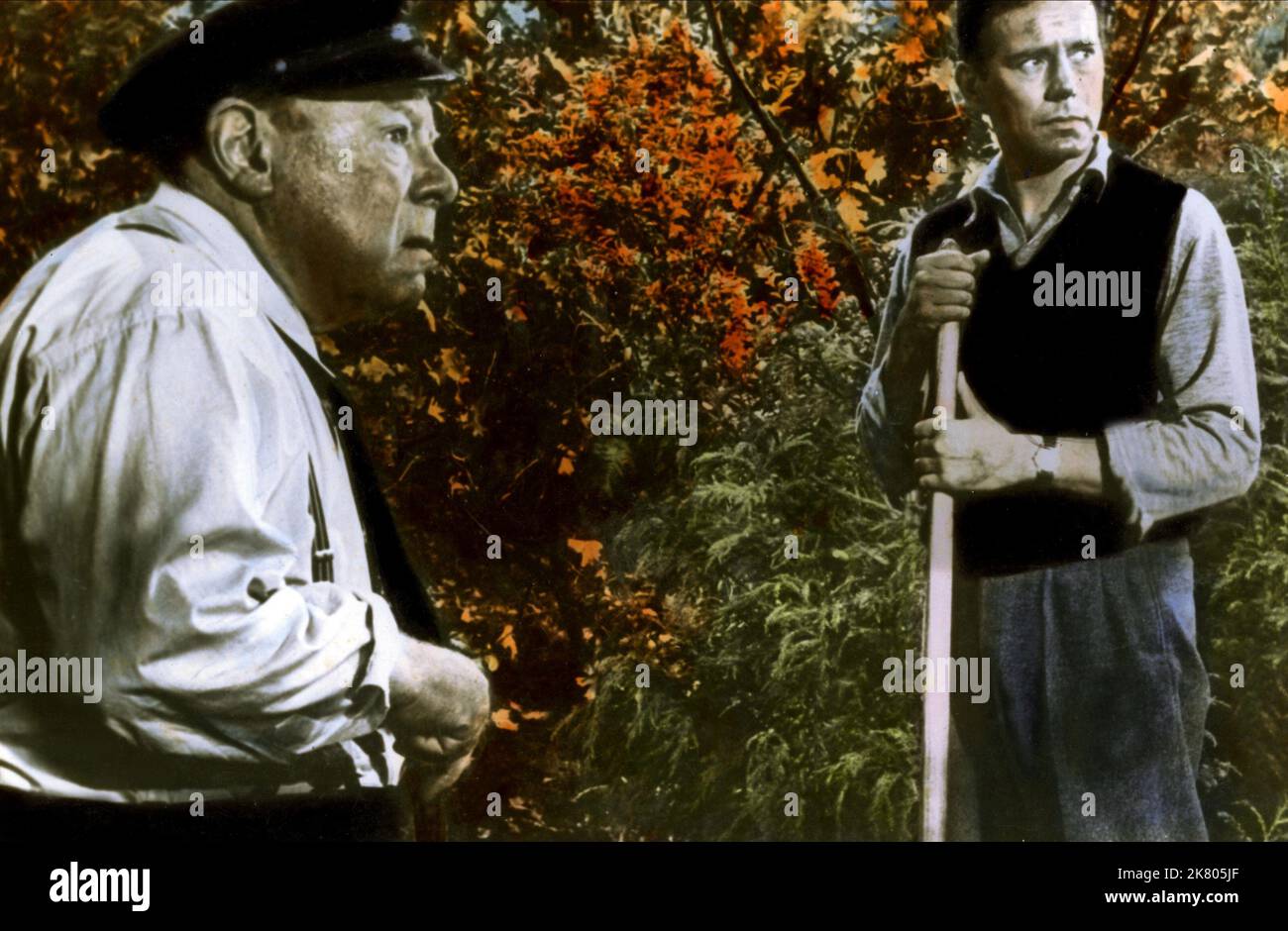 Jack trevor story hi-res stock photography and images - Alamy