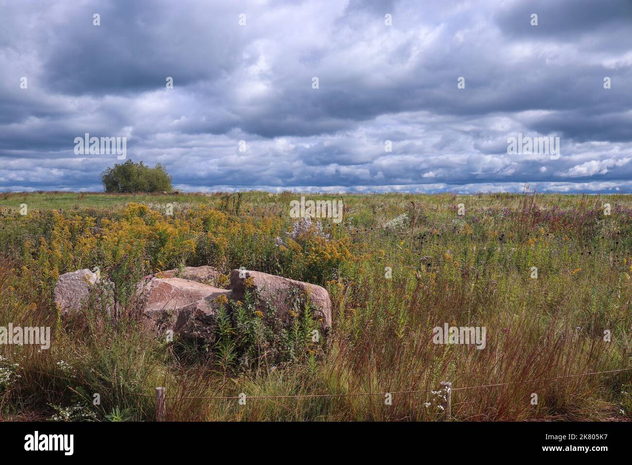 Stormy skies are approaching over a wildflower prairie preserve located ...