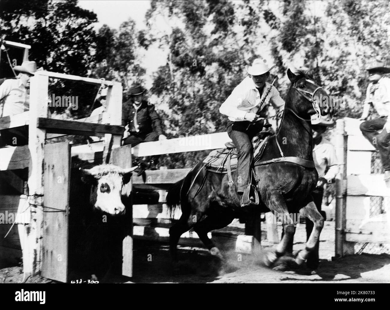 Jeff Richards Film Born Reckless (1958) Characters: Kelly Cobb Director ...