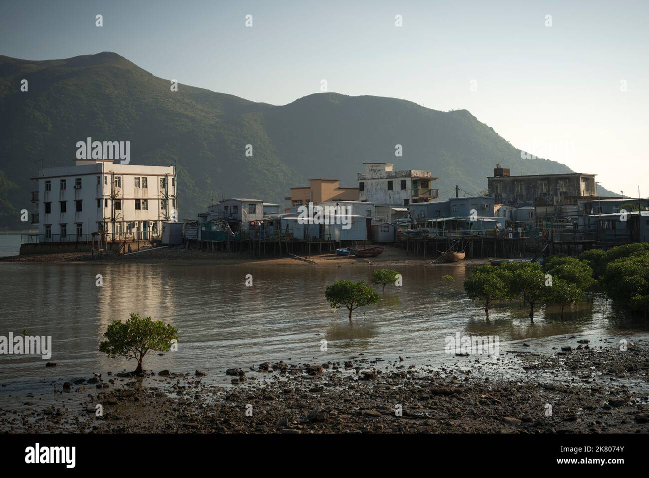 Stilt houses ('pang uk') and mangroves at low tide in late afternoon ...