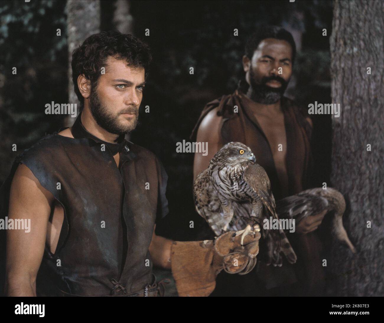 Tony Curtis Film: The Vikings (USA 1958) Characters: Eric Director ...