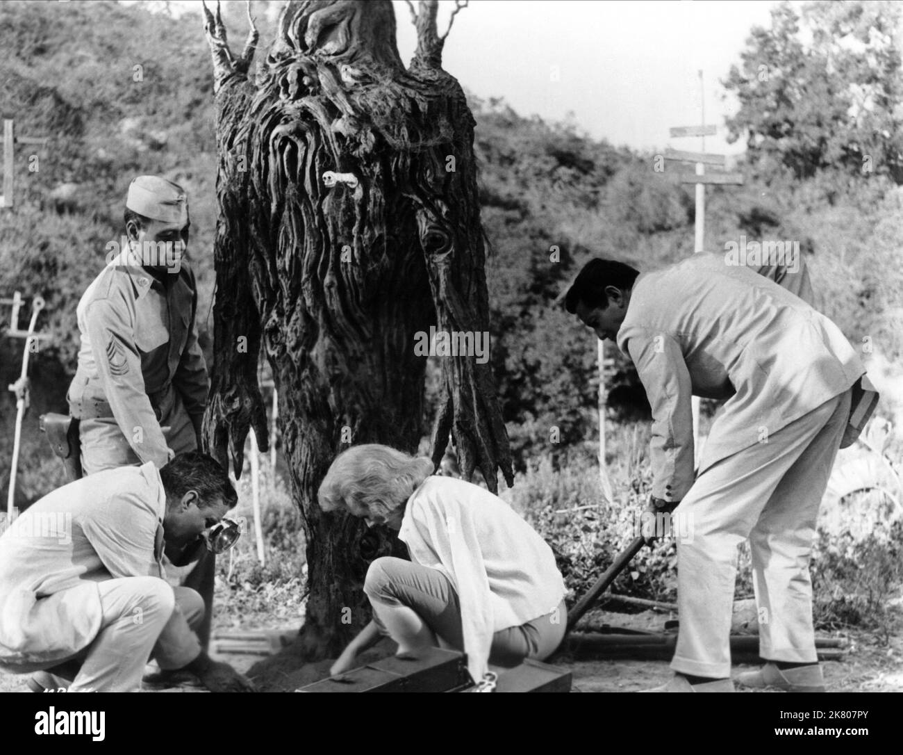 Tina Carver & Tod Andrews Film: From Hell It Came (1957) Characters: Dr. Terry Mason, Dr ...