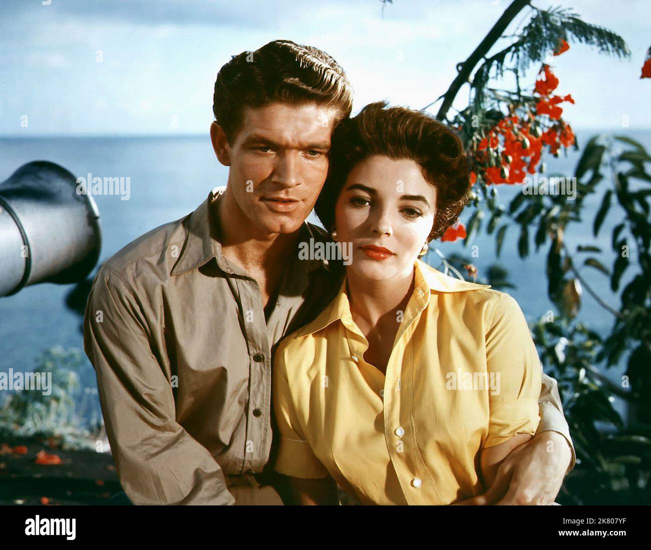 Templeton fox hi-res stock photography and images - Alamy