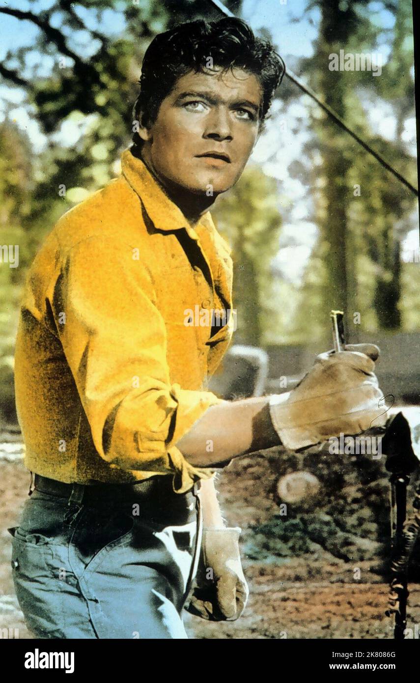 Stephen Boyd Film Woman Obsessed (1957) Characters: Fred Carter ...