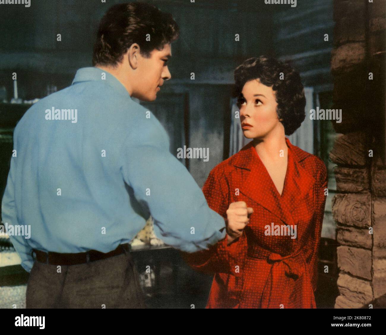 Stephen Boyd & Susan Hayward Film: Woman Obsessed (1959) Characters ...