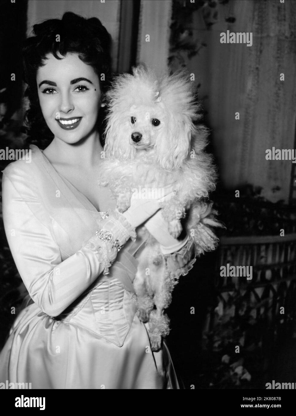 Elizabeth Taylor & Poodle Film The Last Time I Saw Paris (1957 ...