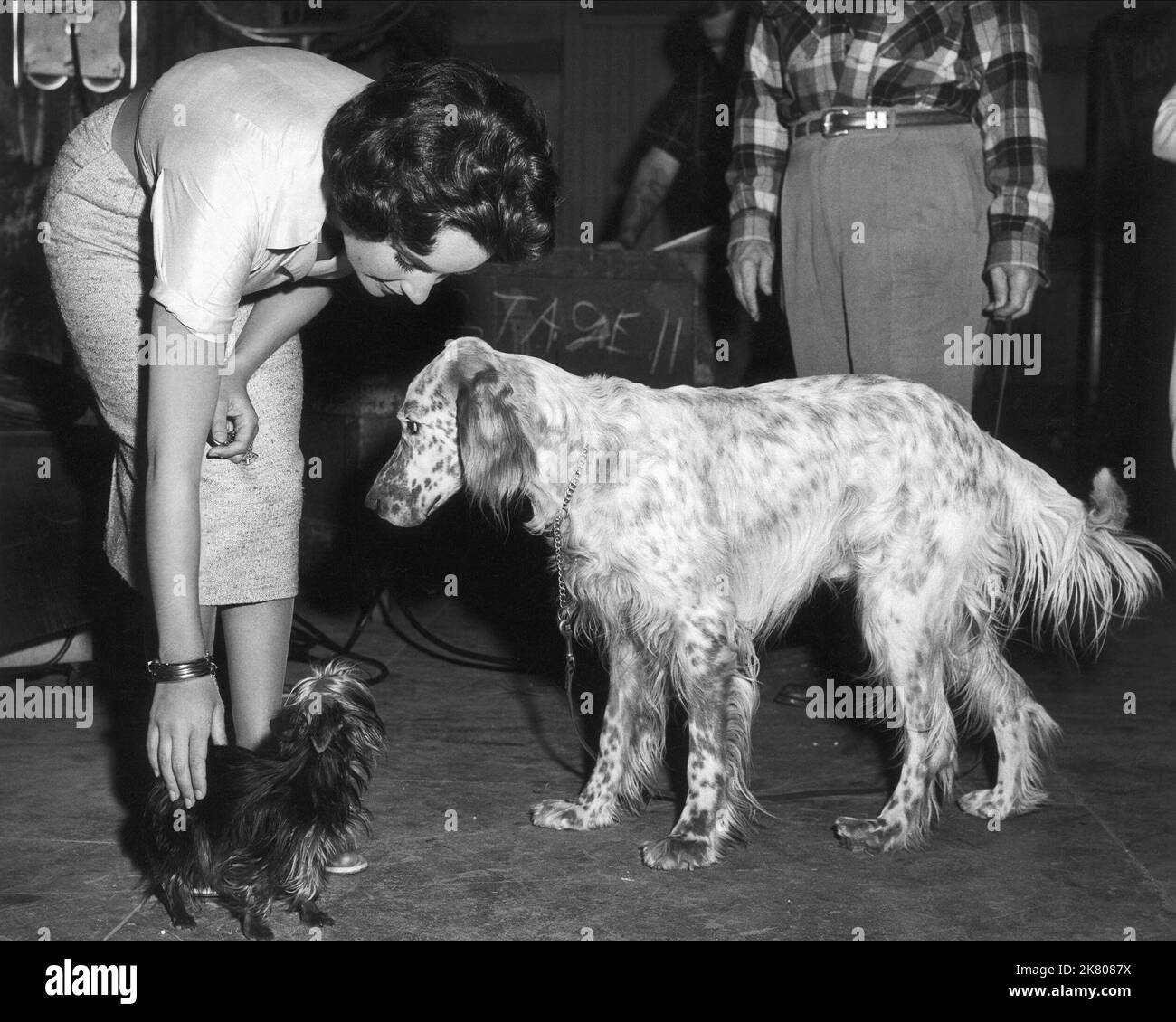 23 august 1950 hi-res stock photography and images - Alamy