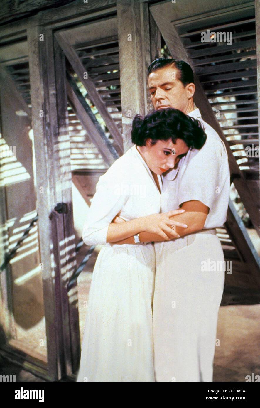 Elizabeth Taylor & Dana Andrews Film Elephant Walk (1958) Characters ...