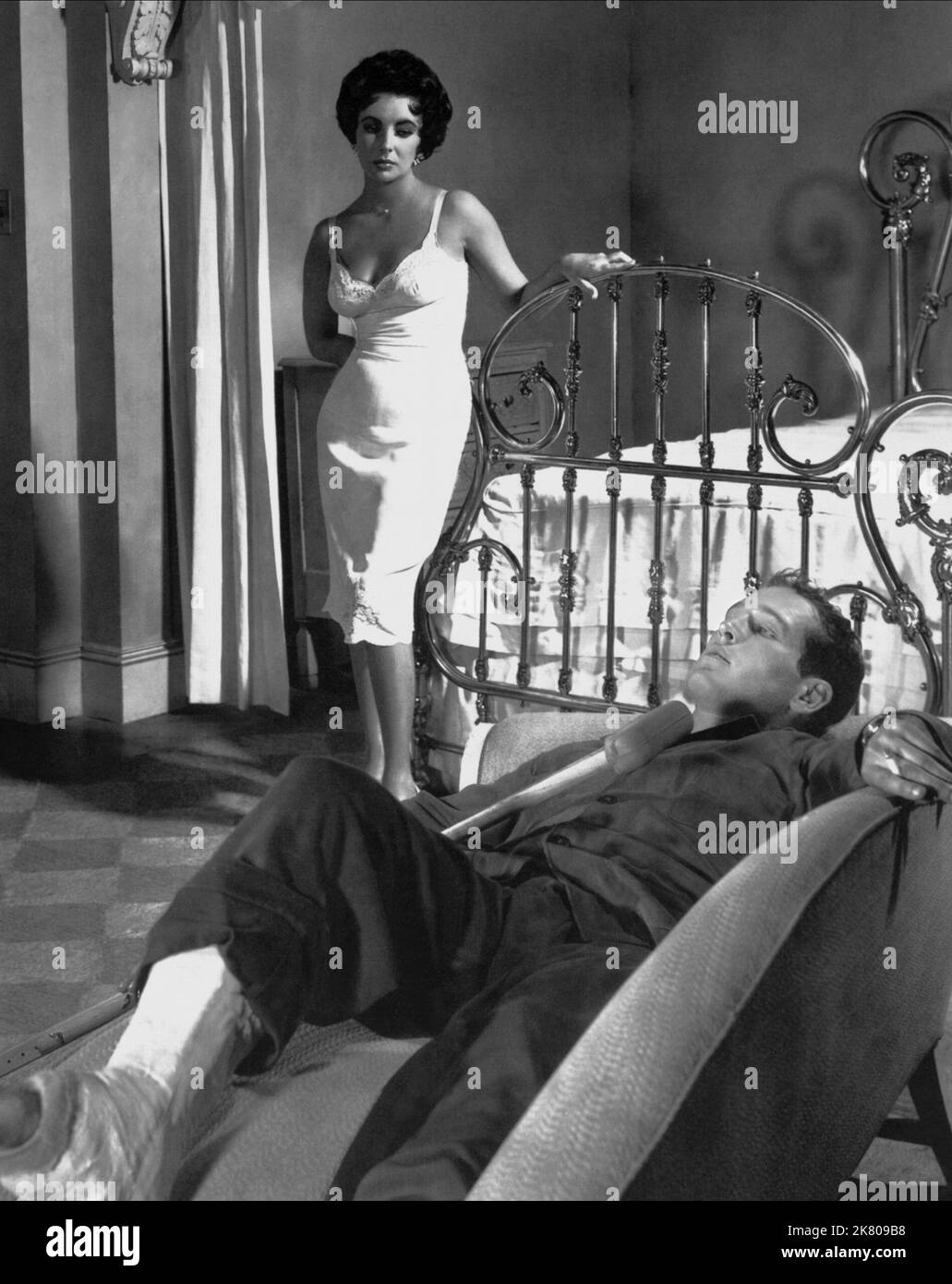 Elizabeth Taylor & Paul Newman Film: Cat On A Hot Tin Roof (USA 1958 ...