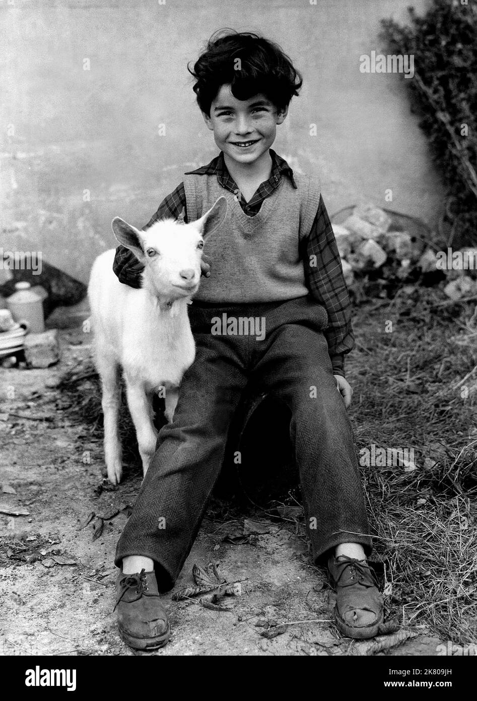 Jonathan Ashmore & Goat Film A Kid For Two Farthings (1959) Characters ...