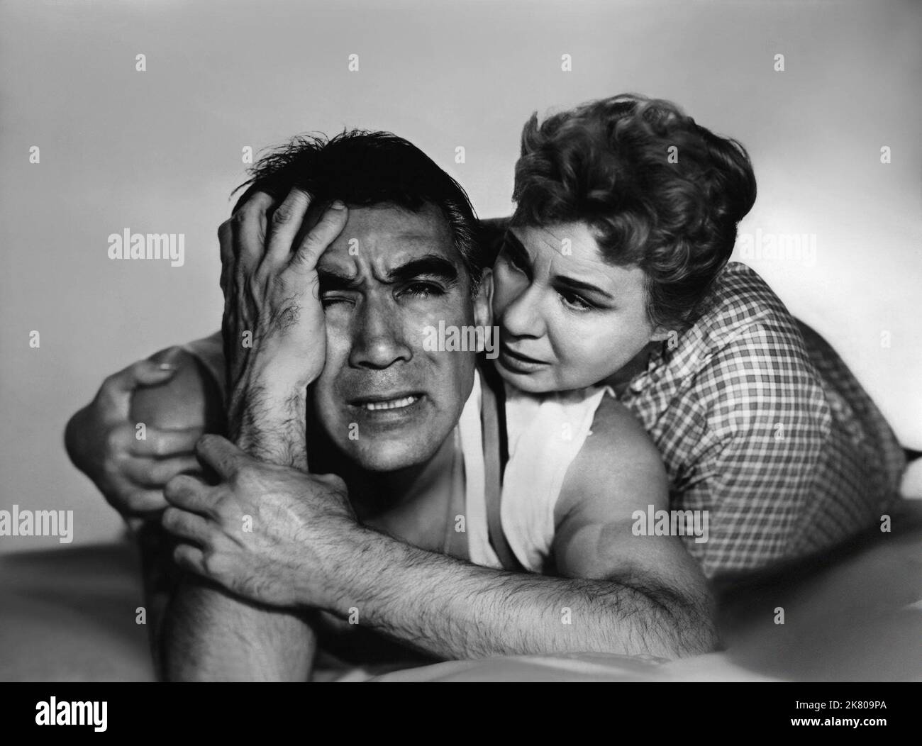 Anthony shirley hi-res stock photography and images - Alamy