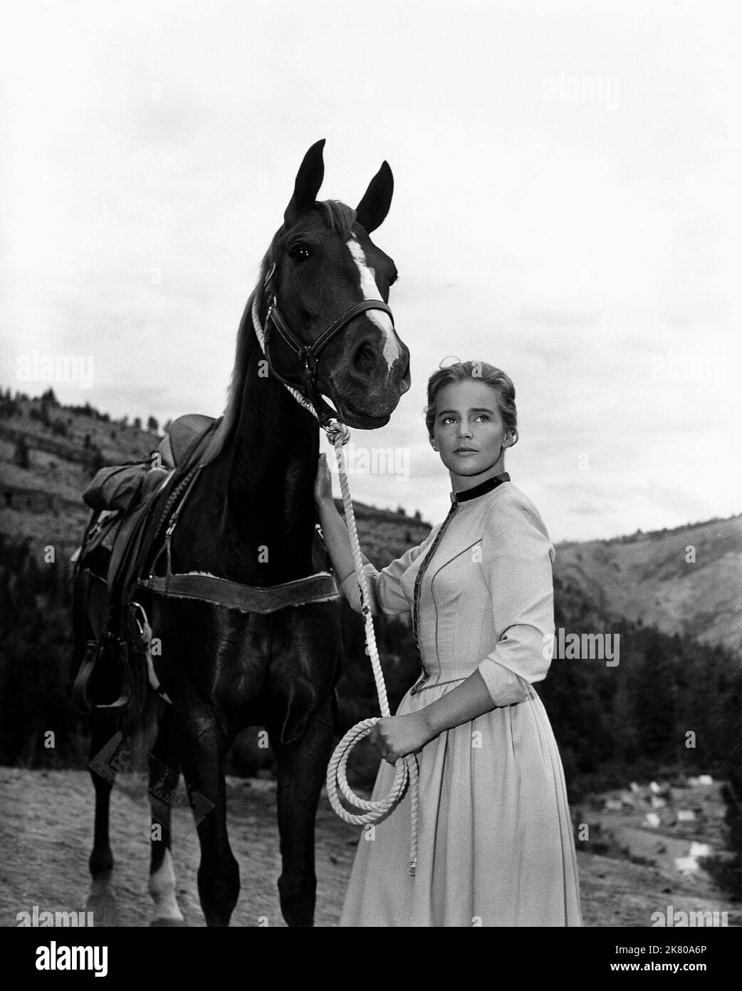 Elizabeth mahler hi-res stock photography and images - Alamy